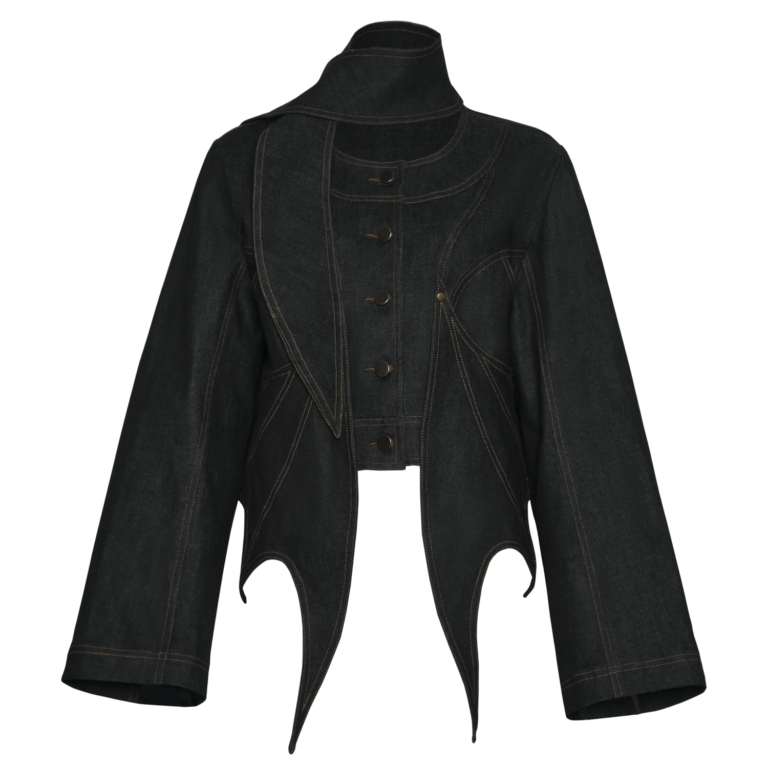 BAT WINGS JACKET | Lalune Official