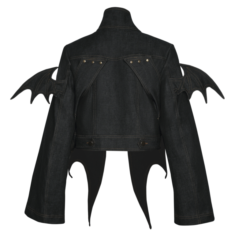 BAT WINGS JACKET | Lalune Official